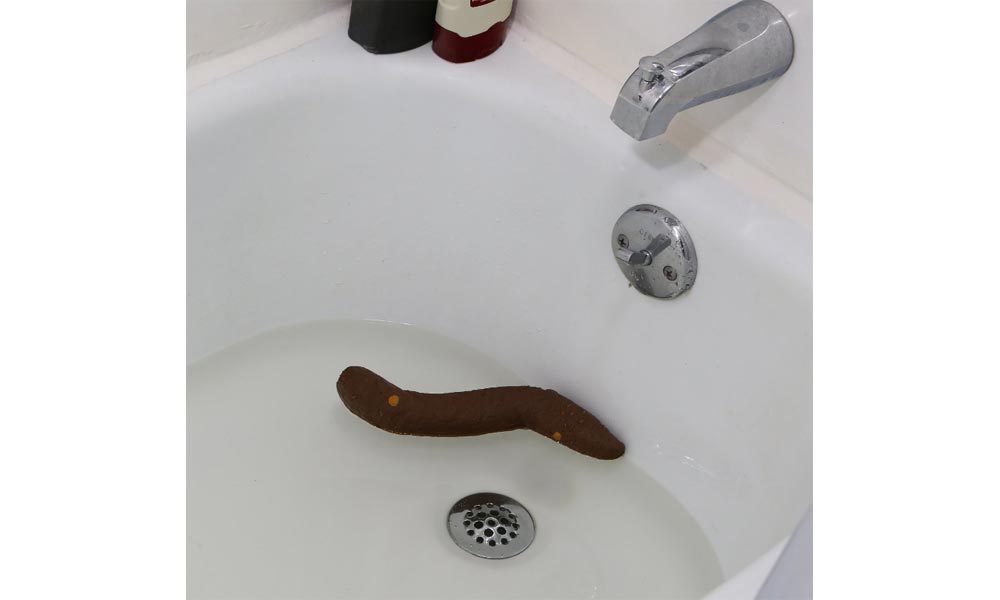 Floating Fake Poop | KimJim Gift Ideas